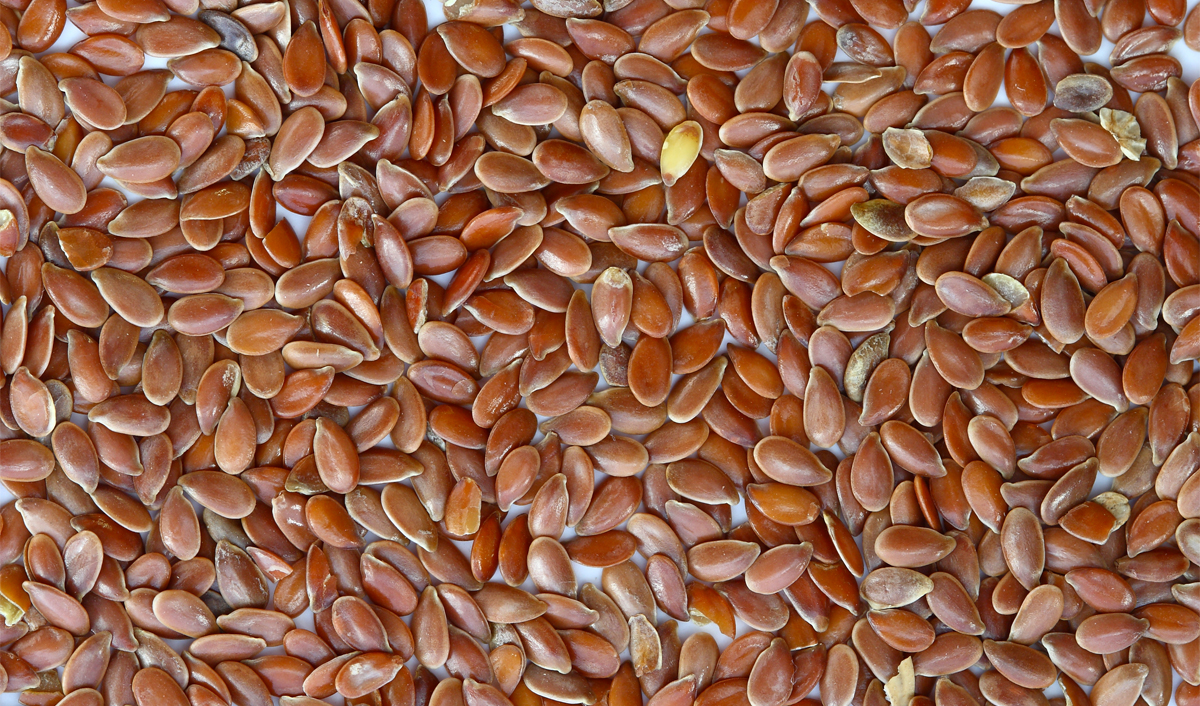 Beneficios de la linaza para la piel: beneficia a la piel mejor que una ...