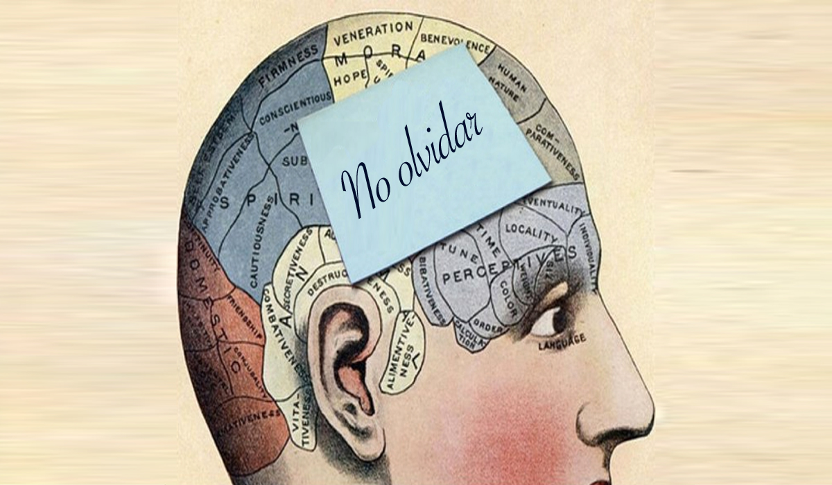 13 Consejos útiles Que Le Ayudarán A Mantener Su Memoria Fuerte Y Nítida 