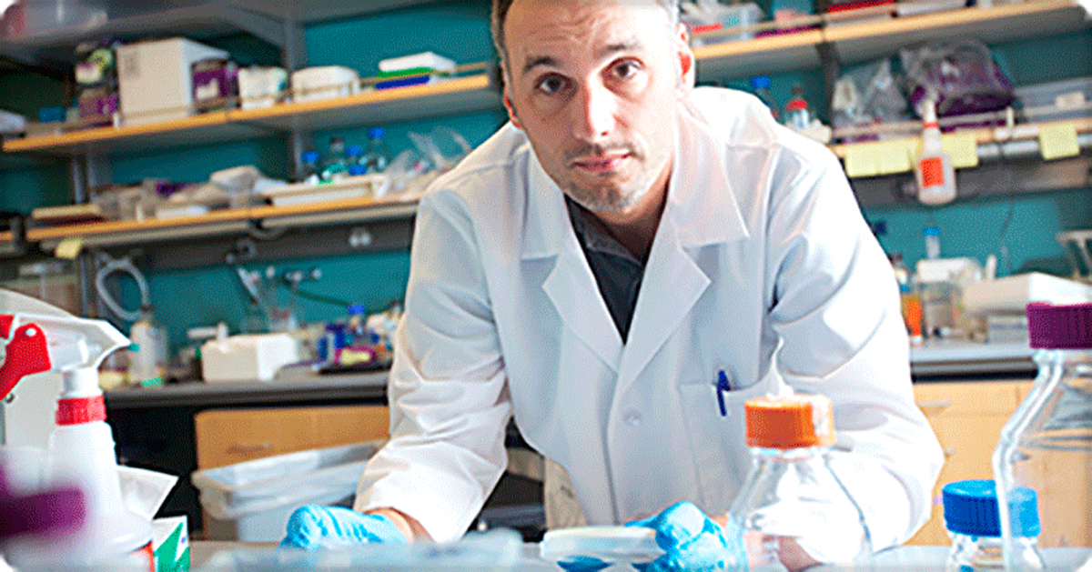 Científicos descubren que el ayuno desencadena la regeneración de ...