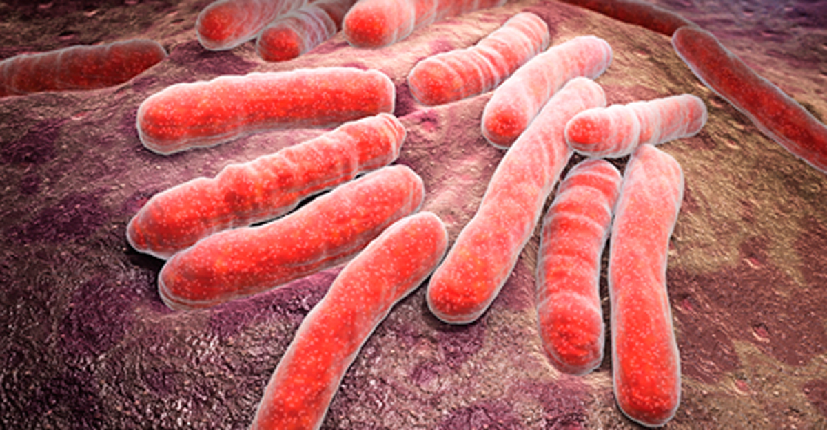 Los 12 lugares públicos con más gérmenes - Conocer Salud